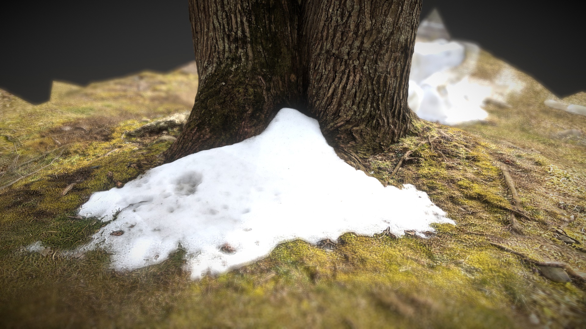Melting snow - 3DF Zephyr Winter Challenge - 3D model by Abby Crawford ...