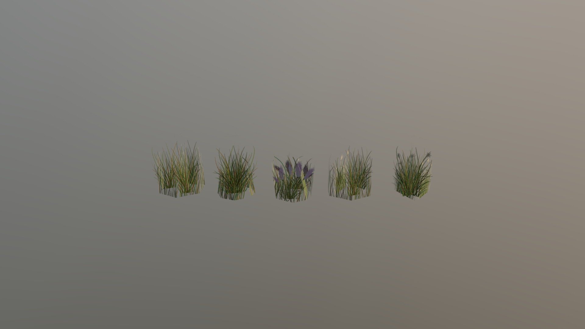 Variations of low poly grass - 3D model by TiagoDSP [1152218] - Sketchfab
