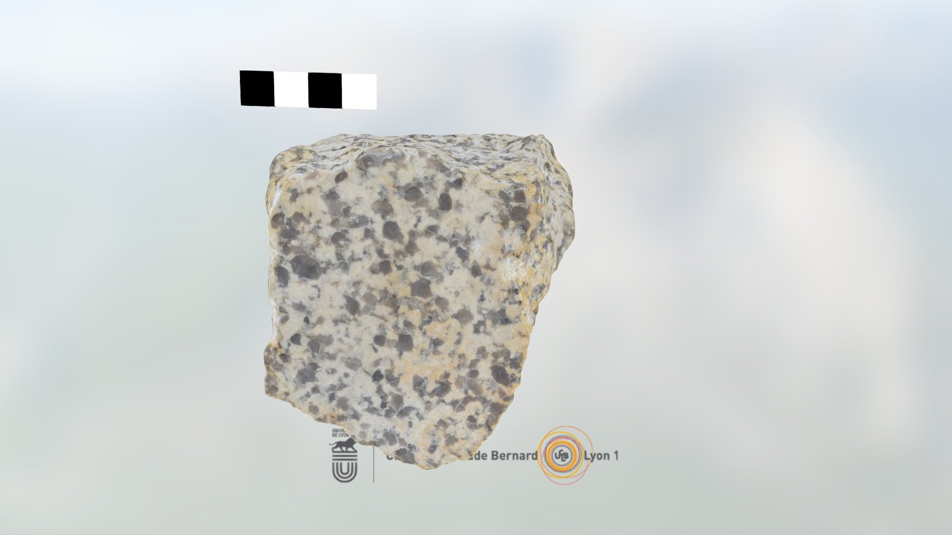 Leucogranite - 3D model by OSU_Lyon1 [1162b5d] - Sketchfab