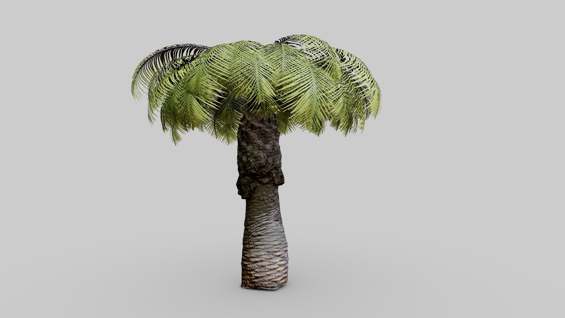 Small Palm Tree - Buy Royalty Free 3D model by Marcin Lubecki (@Lubus ...