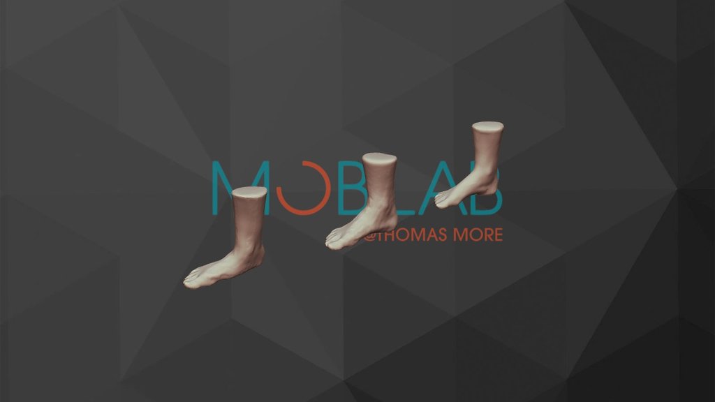 Foot Types - 3D model by Mobilab [117629a] - Sketchfab