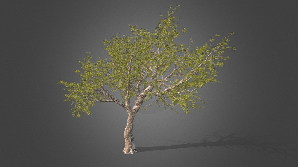 green - A 3D model collection by Dan Kozachkov (@timoroflya) - Sketchfab