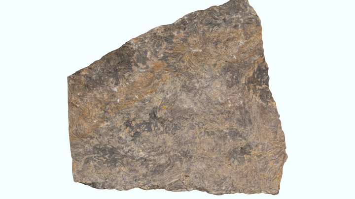 Entroque 3D models - Sketchfab