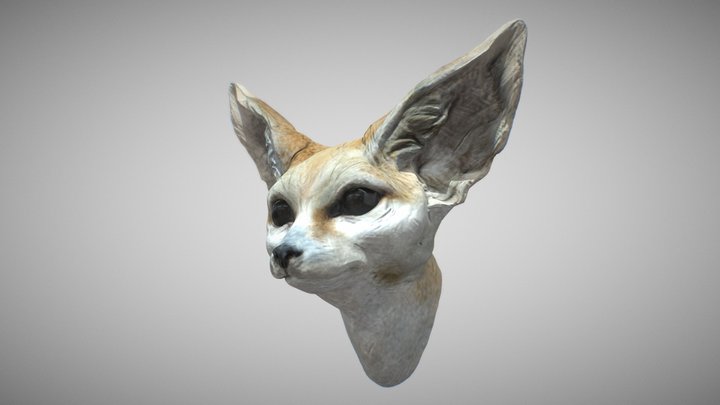 Fennec_fox 3D models - Sketchfab