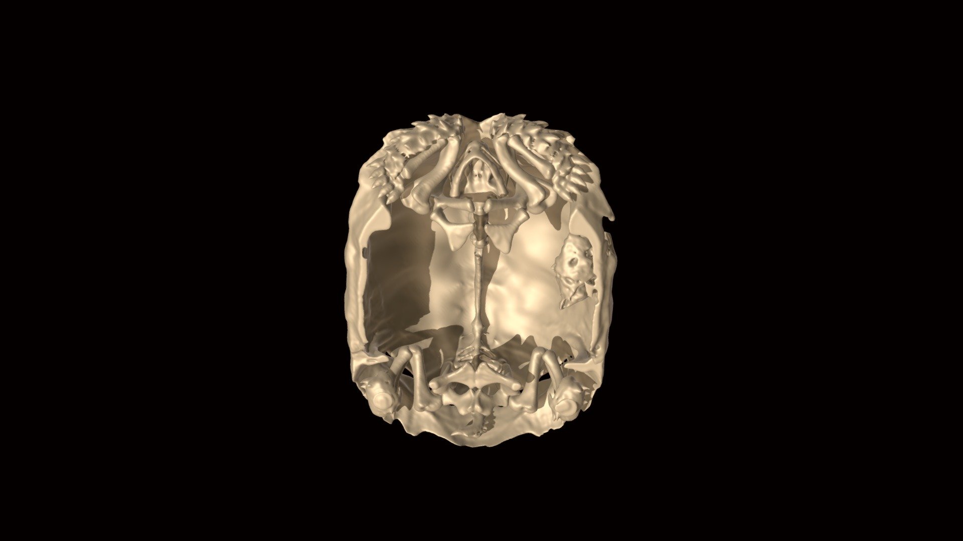923-tort - 3D model by lkbryan41 [118dc48] - Sketchfab
