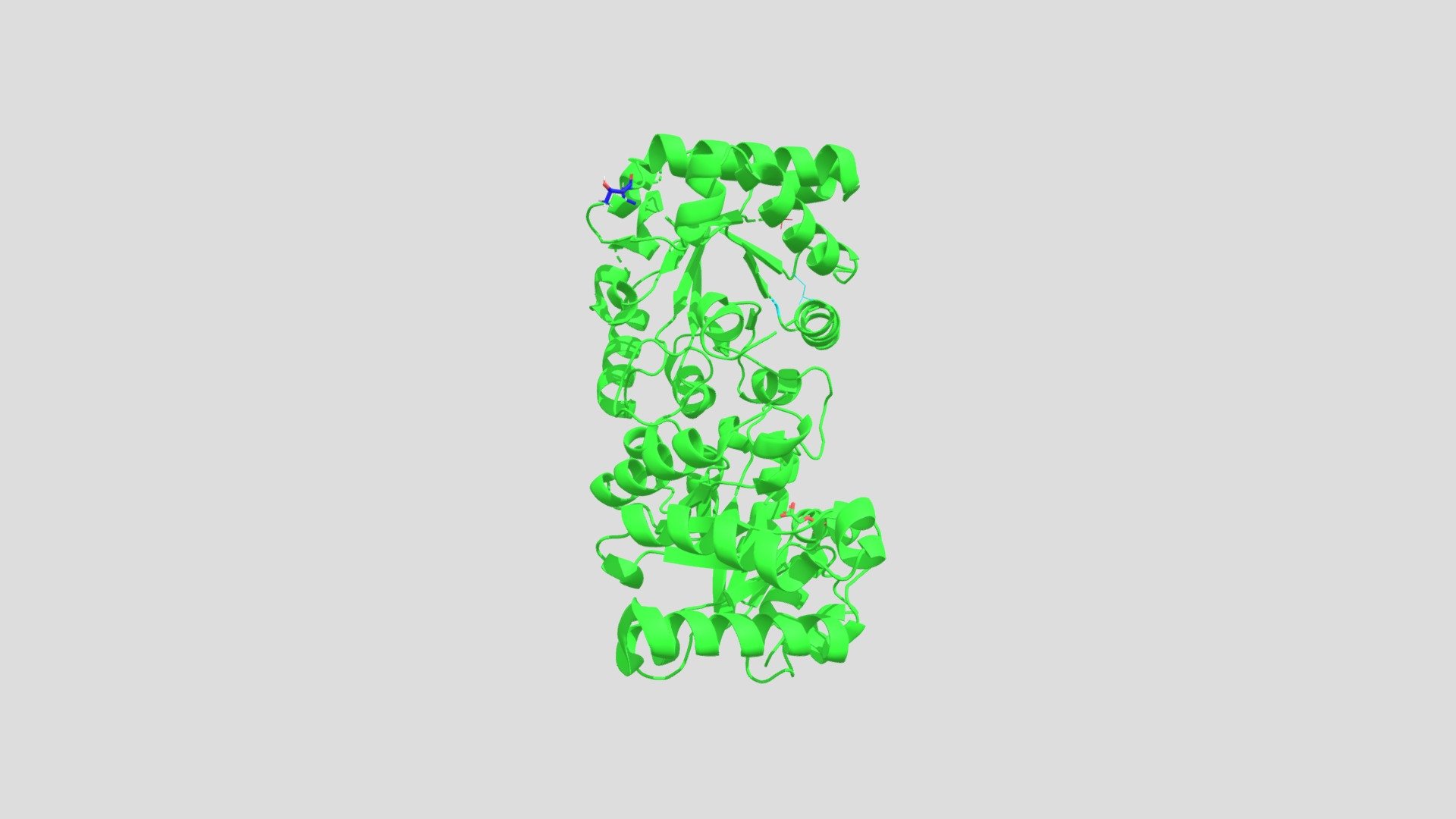 homo spaien PyMOL - 3D model by patrokles2 [1194b7b] - Sketchfab