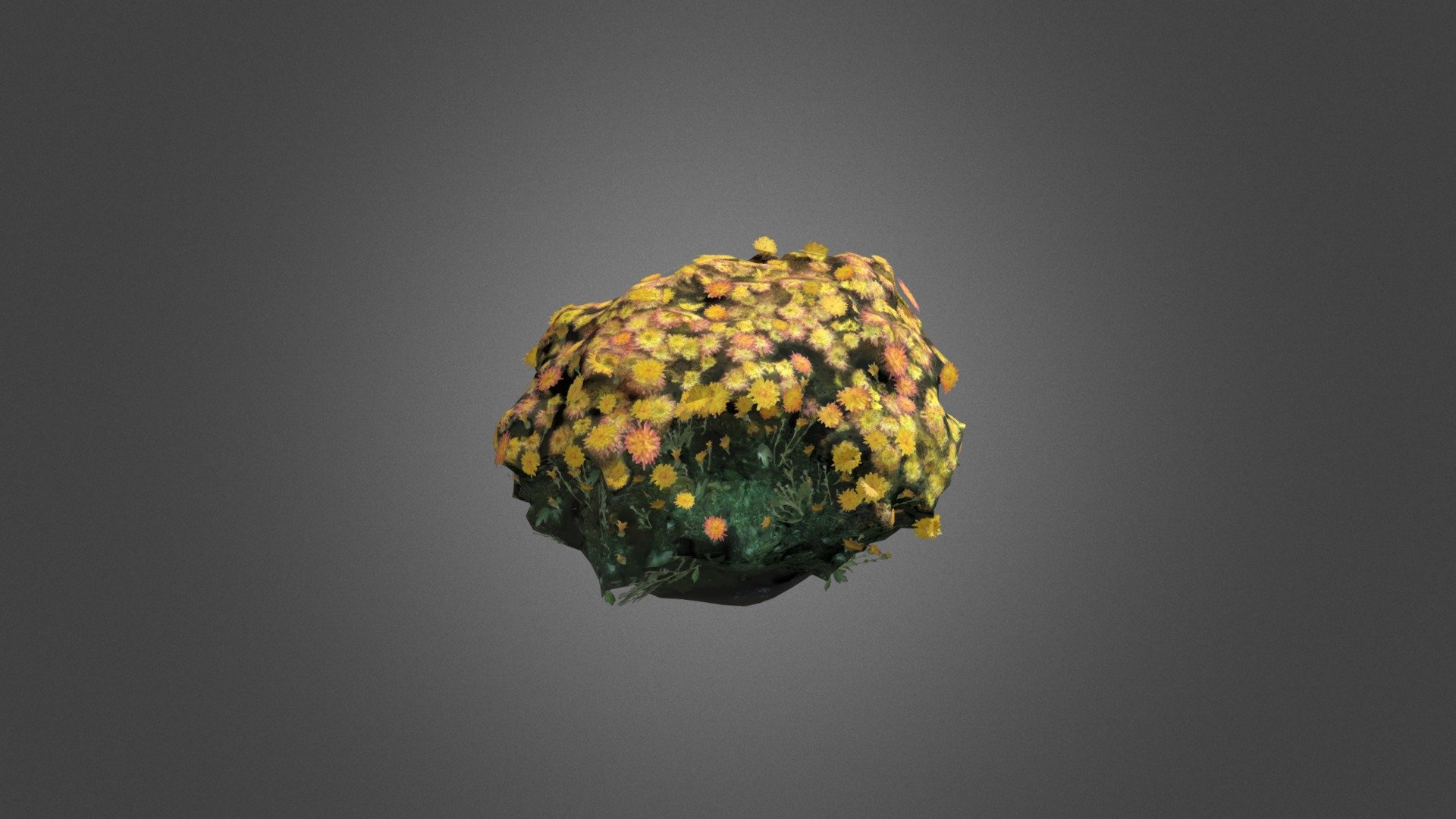Lowpoly realistic Mums TEST WIP DRAFT - 3D model by ArcticGreenhouse ...