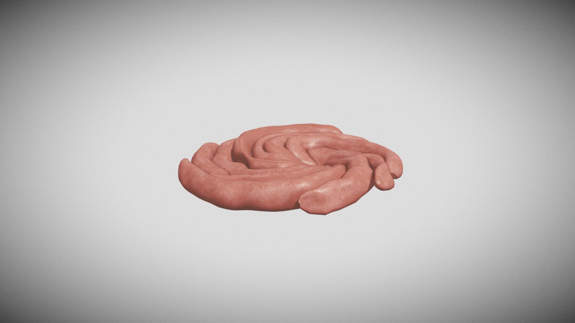 Eoandromeda - Ediacaran Biota - Download Free 3D model by Skache ...