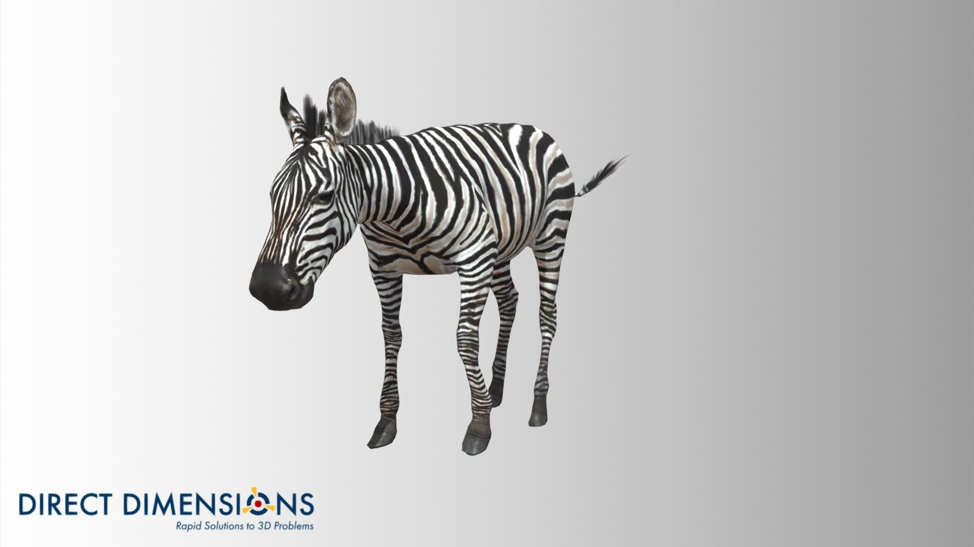 Animated Zebra - 3D model by Direct Dimensions (@dirdim) [119e38c ...