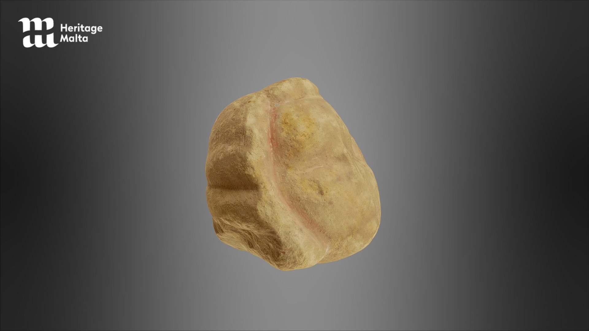 20522 S/S38 - Limestone Human Head - 3D model by Heritage Malta ...