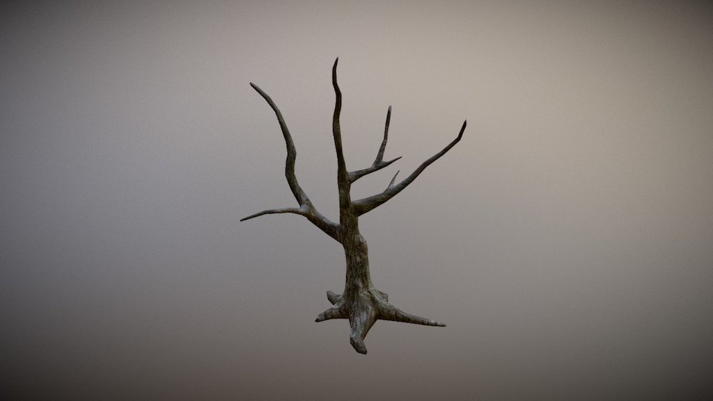 Tree - 3D model by Brinsley [11a18bc] - Sketchfab