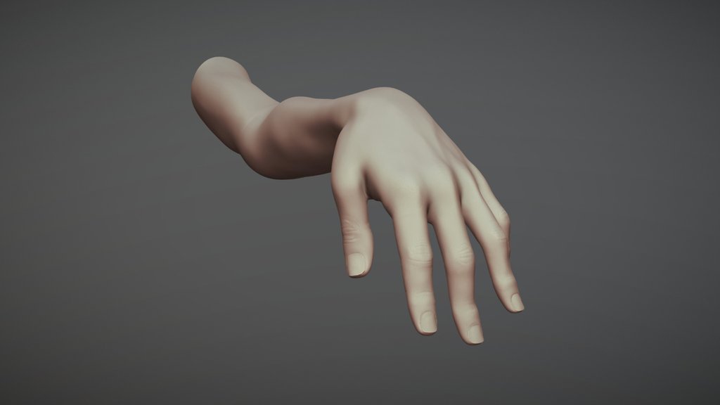 Hand drawing references - A 3D model collection by SilentStoic ...