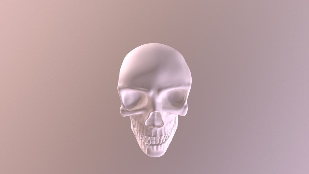 Human skull (first version) - 3D model by Diegojar [11b6754] - Sketchfab