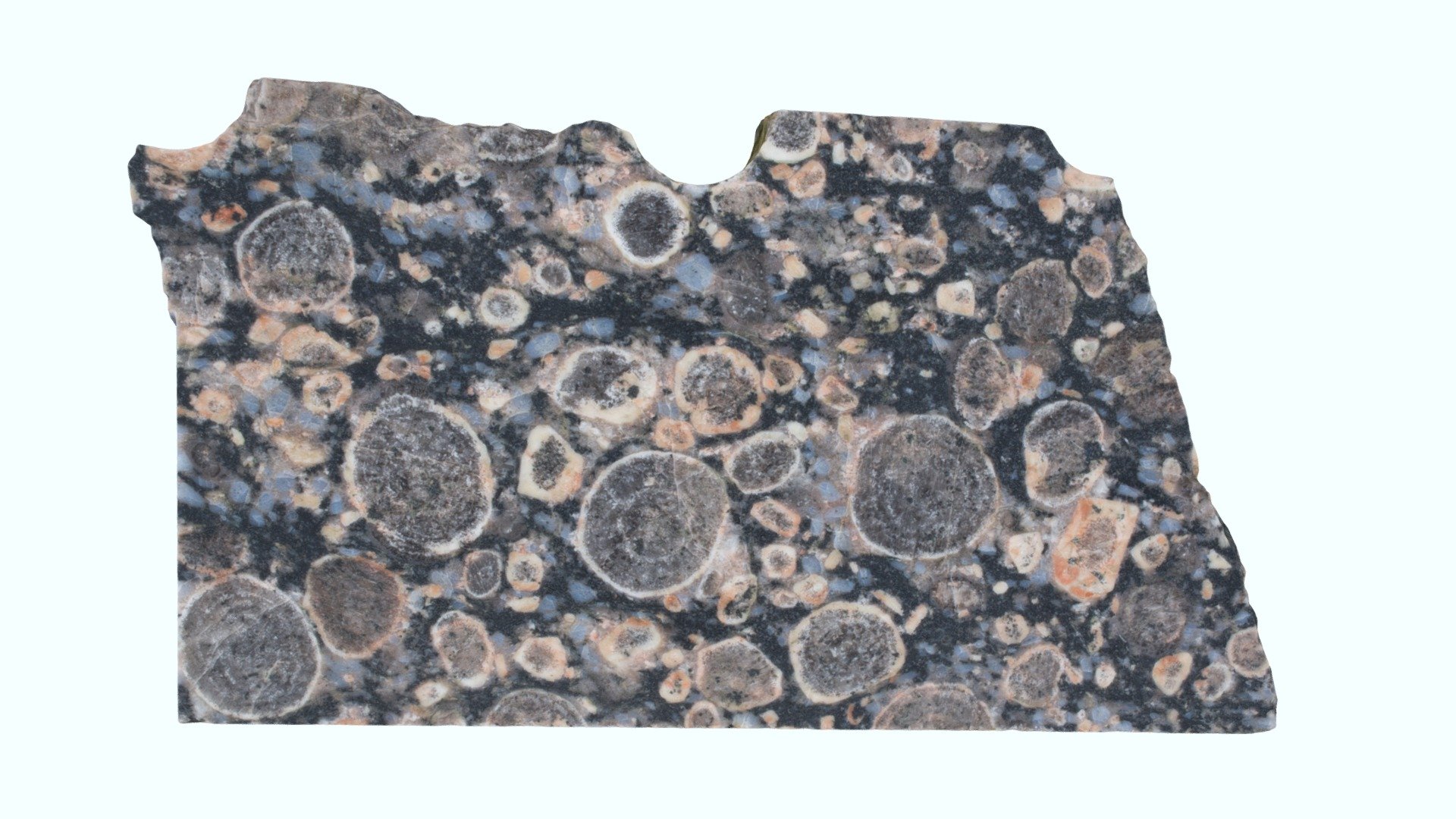 Rhyolite orbiculaire - Download Free 3D model by Ecole Nationale ...