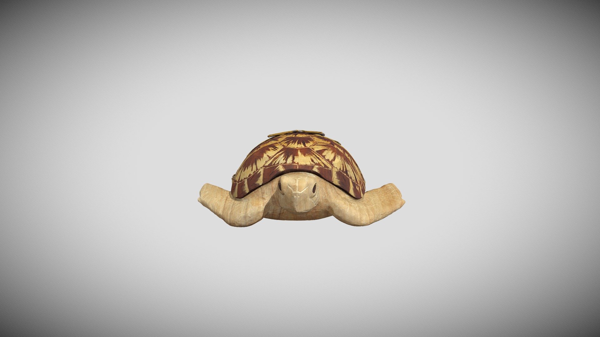 Turtle by Ao Inomata - Download Free 3D model by Virtual INAMI ...