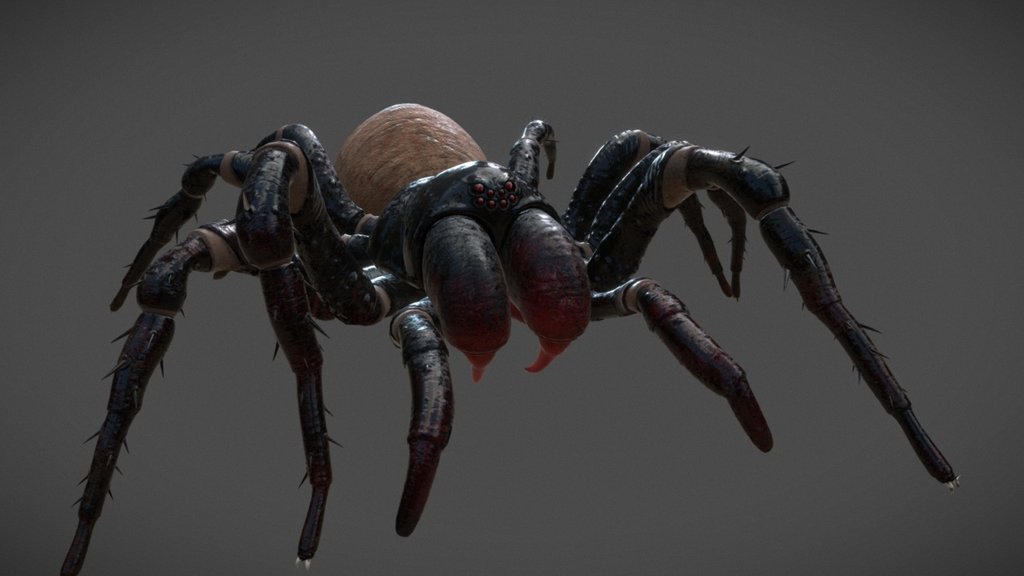 spider - 3D model by tmac [11c5151] - Sketchfab