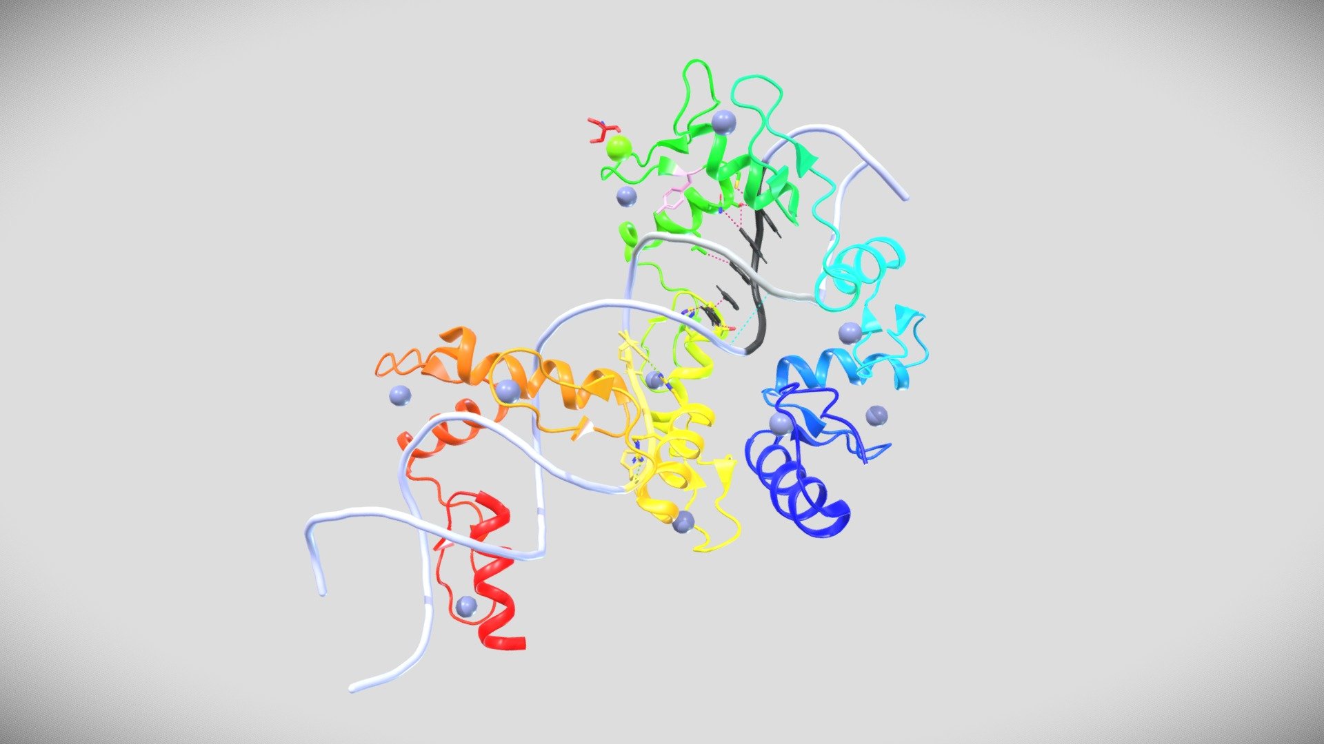 mZFP568 in Complex with Igf-P0 (ZF1-10) - 3D model by cwoo5607 ...