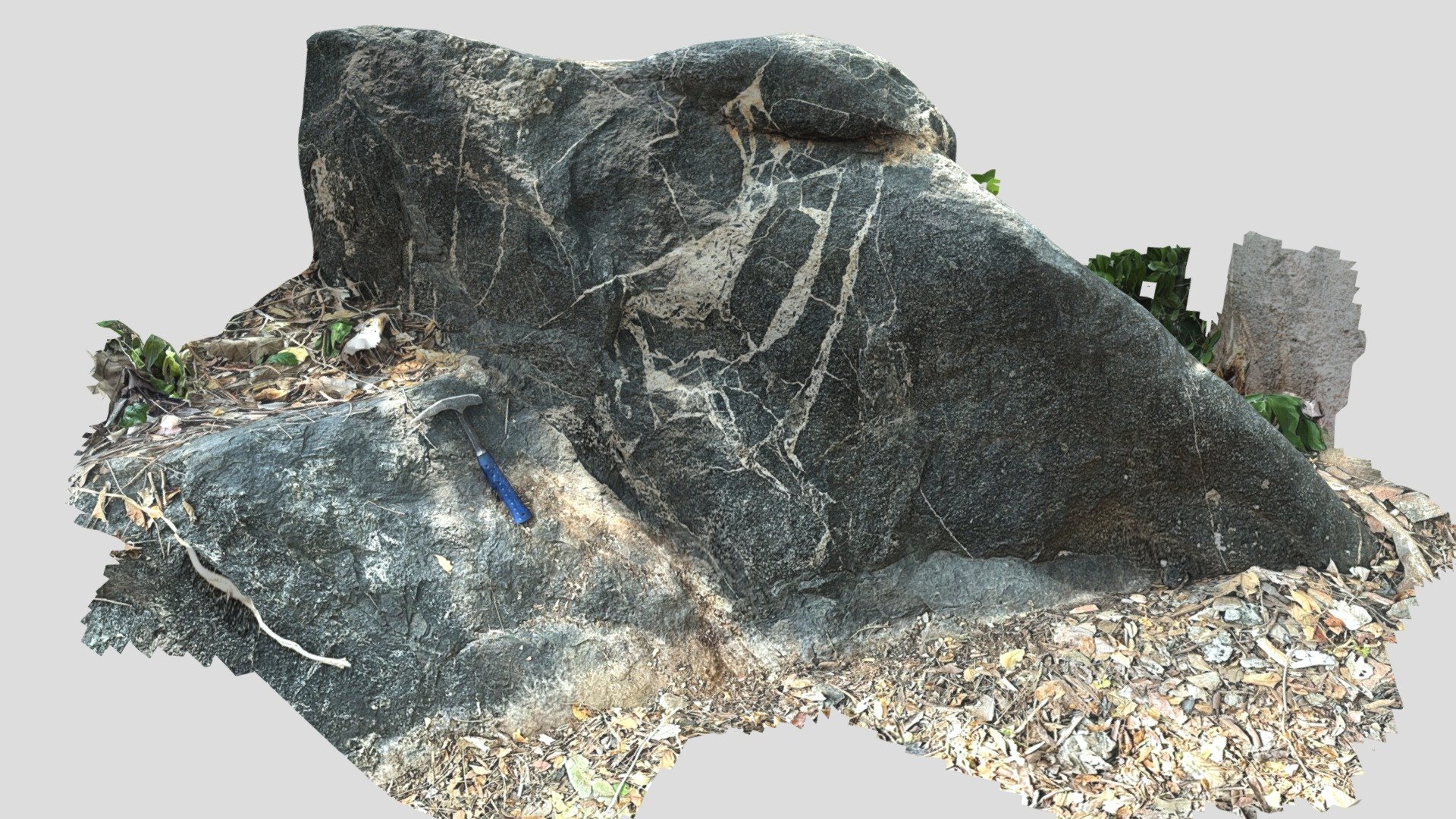 Hornblende gabbro - 3D model by Sukonmeth (@vrgeology) [11cc85e ...