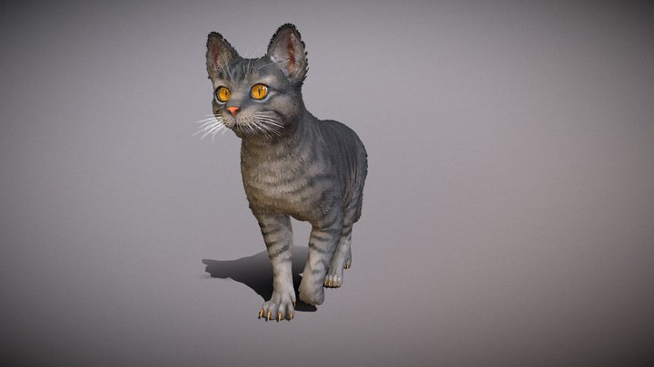 Cat 3D models - Sketchfab