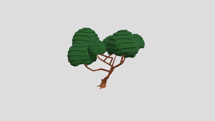 Acacia-tree 3D models - Sketchfab