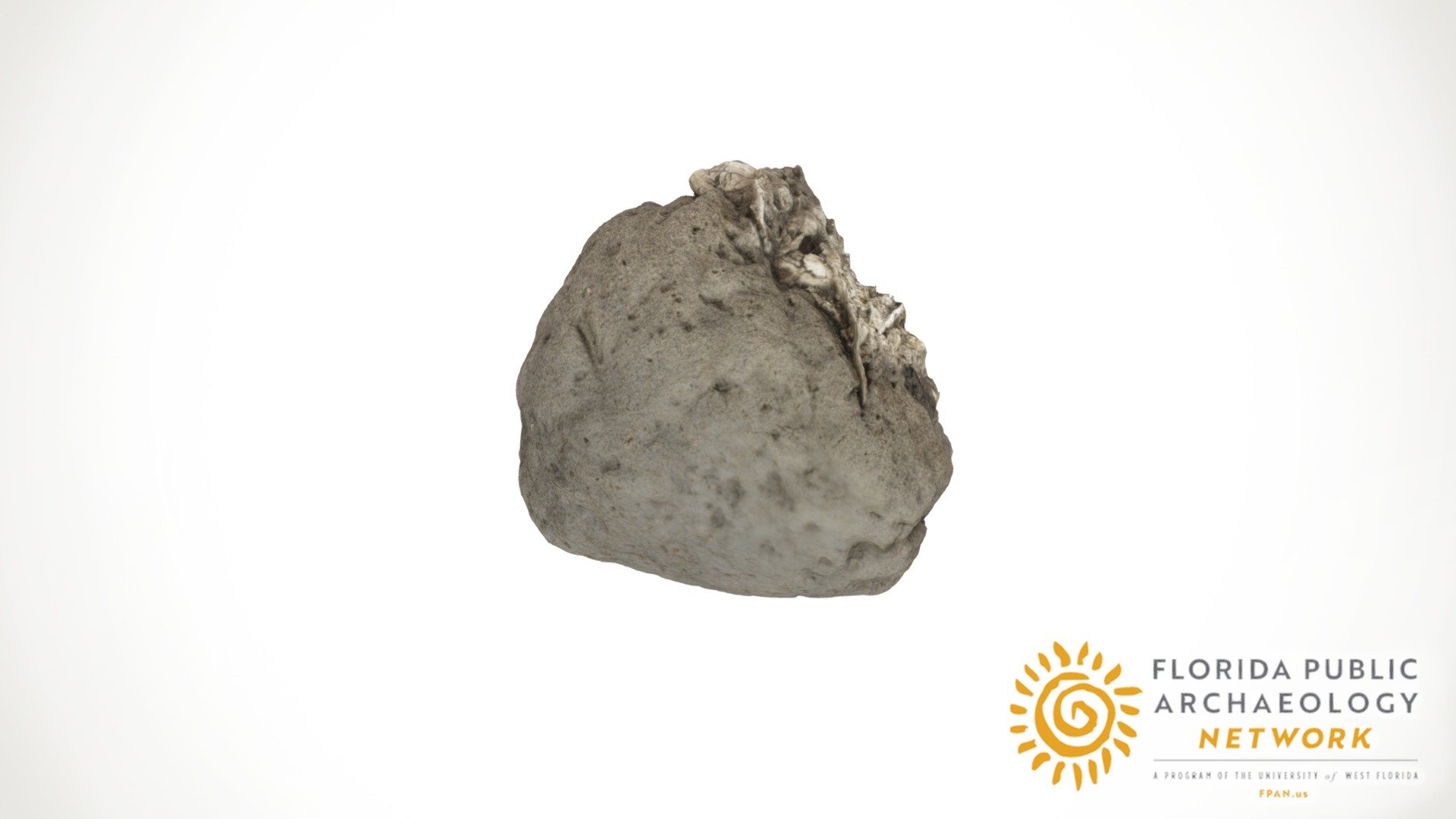 Kingsley Clay Mass - Download Free 3D model by Florida Public ...
