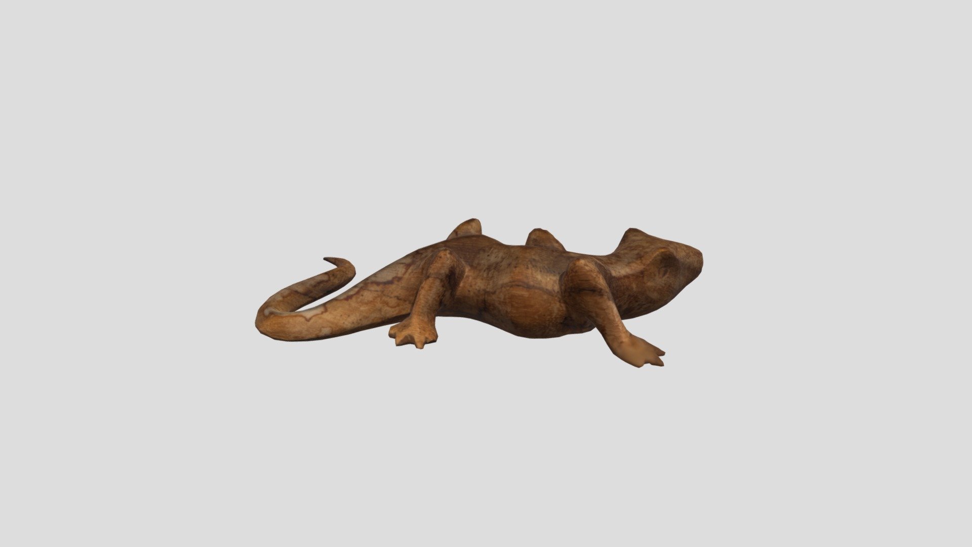 Lizard Photogrammetry V1 - 3D model by hieisens [11dd65b] - Sketchfab