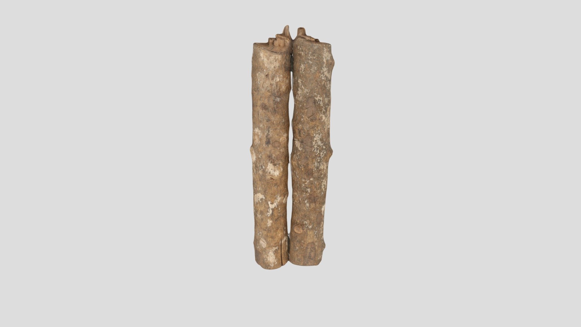 Wood Collection, Xylarium sample #17 - 3D model by SMA-UniGe [11de413 ...