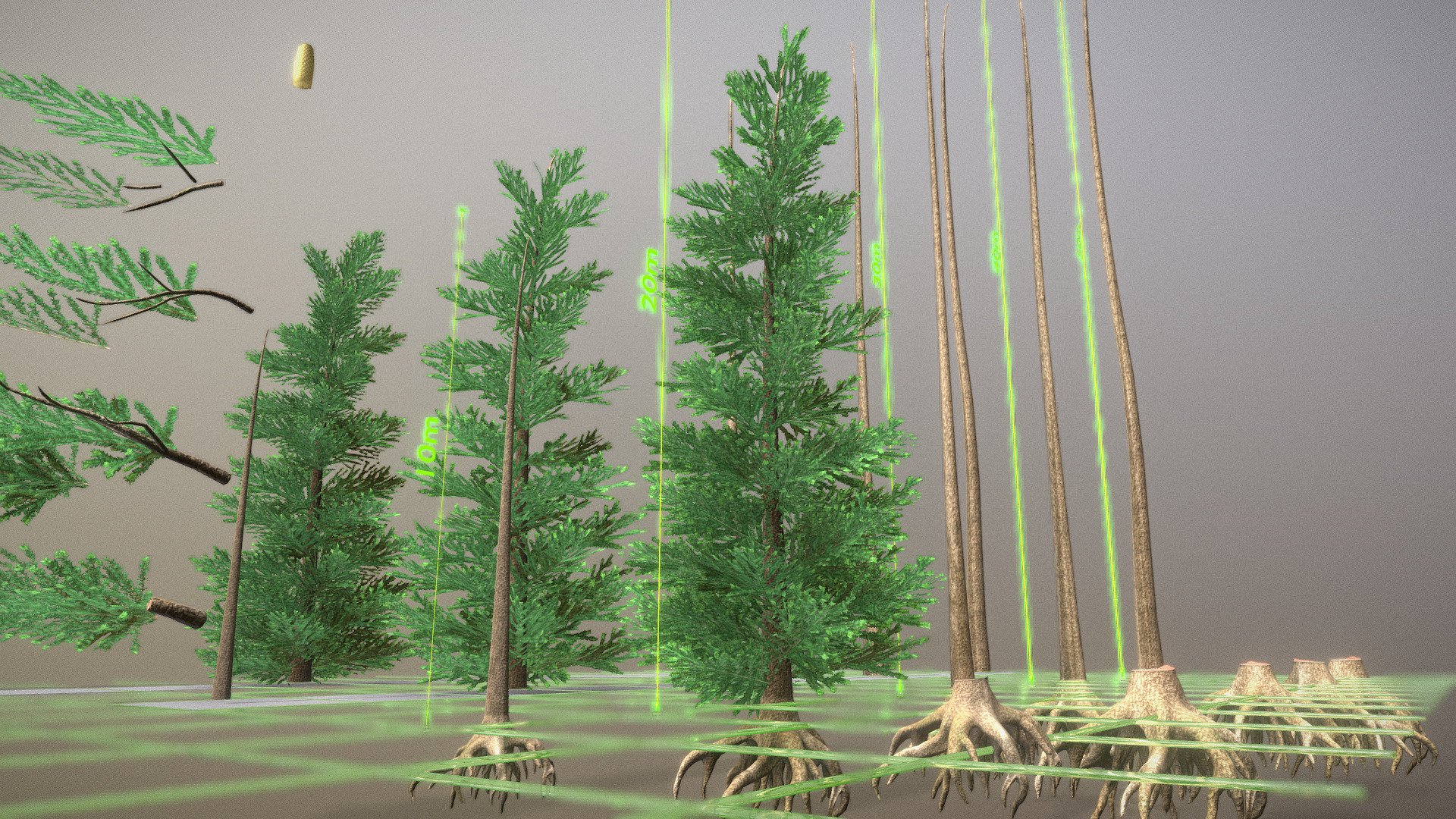 Low-Poly Silver Fir Trees (WIP-2) - 3D model by VIS-All-3D (@VIS-All ...