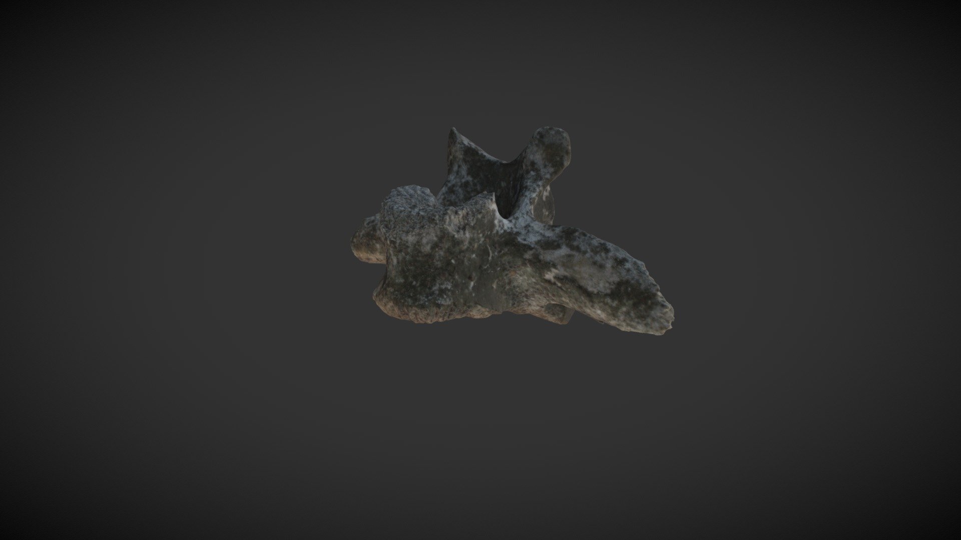 Bone C - 3D model by Ariane's Line (@SebKister) [11e8b26] - Sketchfab