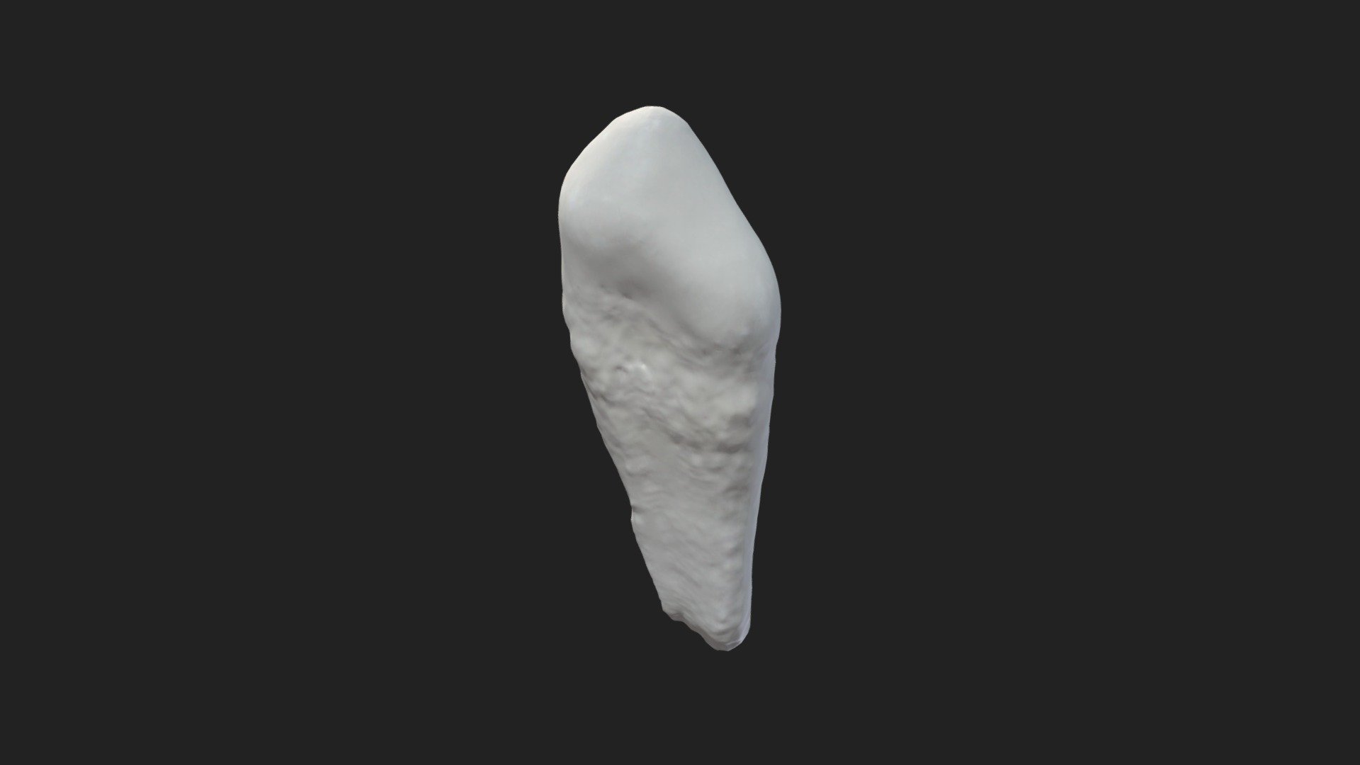 1st cheek tooth (2nd premolar) cat (upper jaw) - Download Free 3D model ...