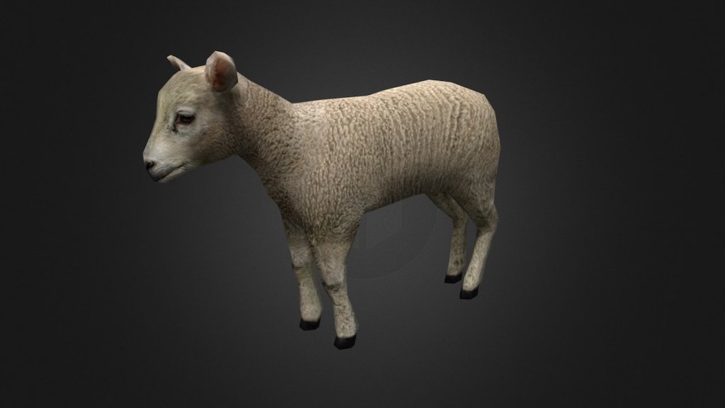 Lamb - 3D model by RedDeer (@billl90) [11f6207] - Sketchfab