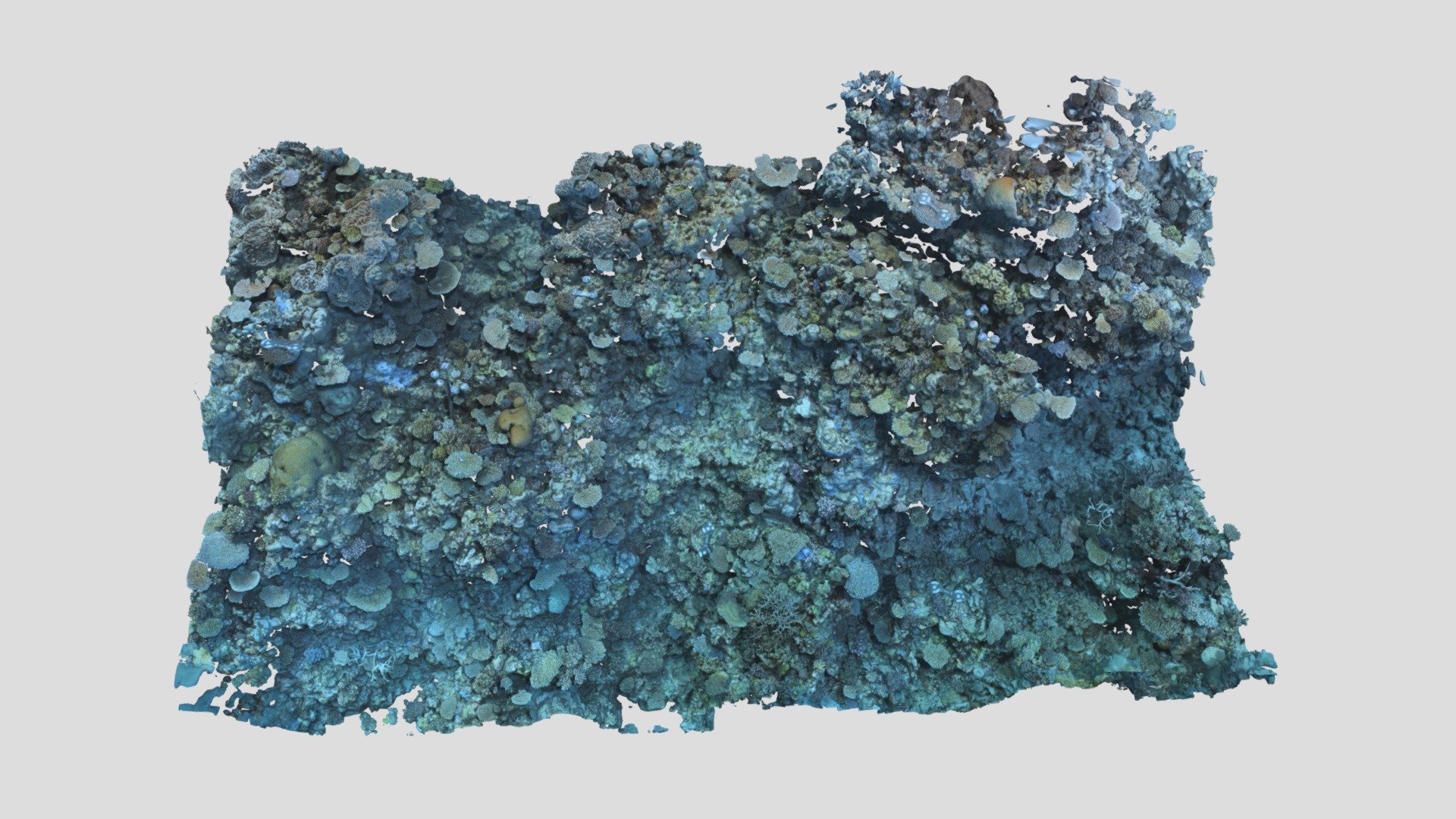 Davies_FR2S_P2_202201 - 3D model by EcoRRAP (@AIMSEcoRRAP) [11fba3b ...