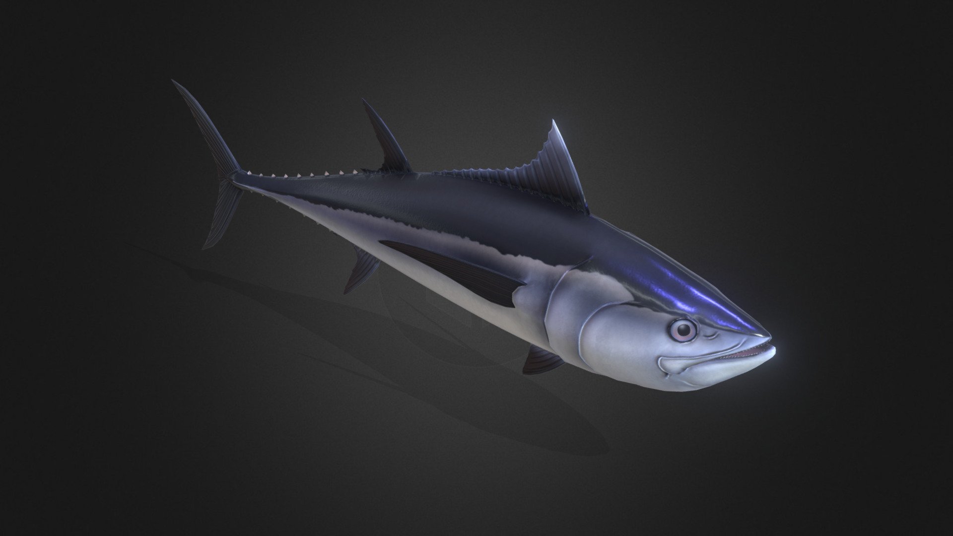 Northern bluefin Tuna - Buy Royalty Free 3D model by Exmoor beast ...
