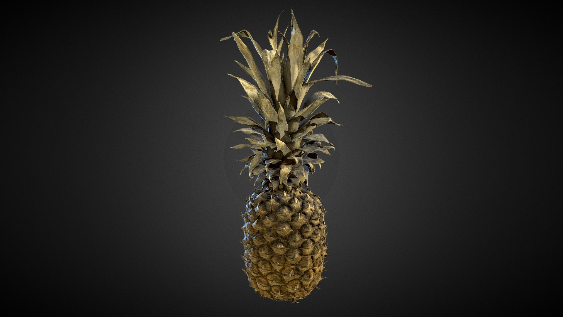 Pineapple 3D Scan - Buy Royalty Free 3D model by 3DScanX [120e41b ...