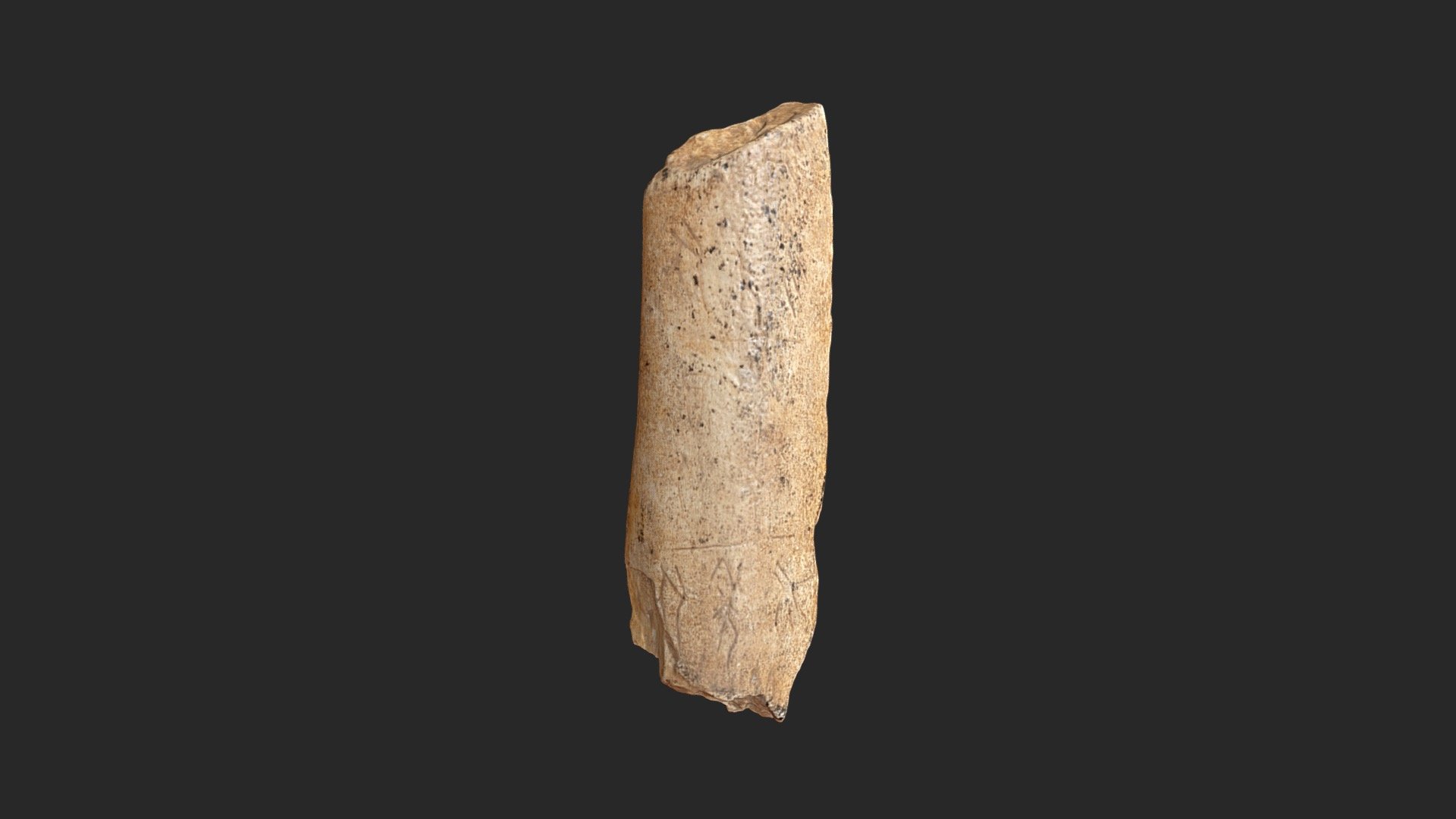 Chinese Oracle Bones, MS-CHI-BONES-CUL-00031 - 3D model by Cambridge ...