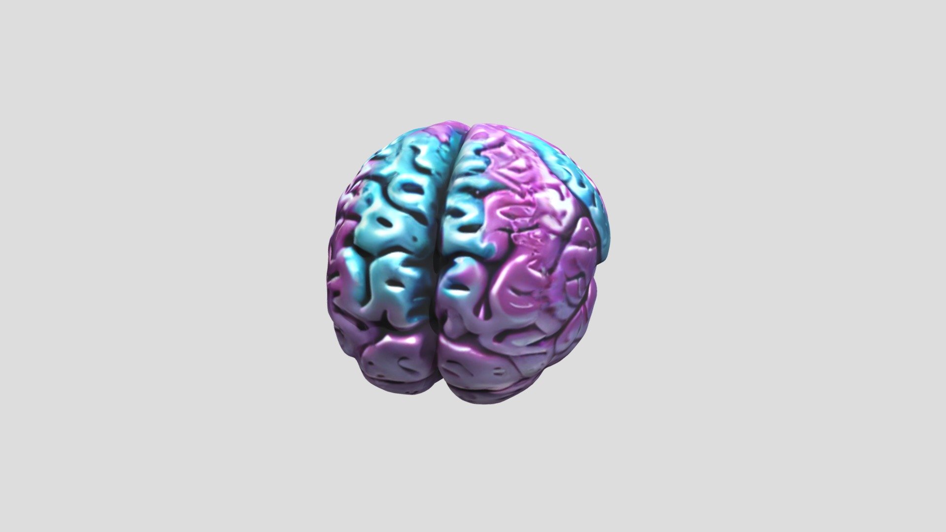 brain_draft - 3D model by 15192023pv [1217677] - Sketchfab
