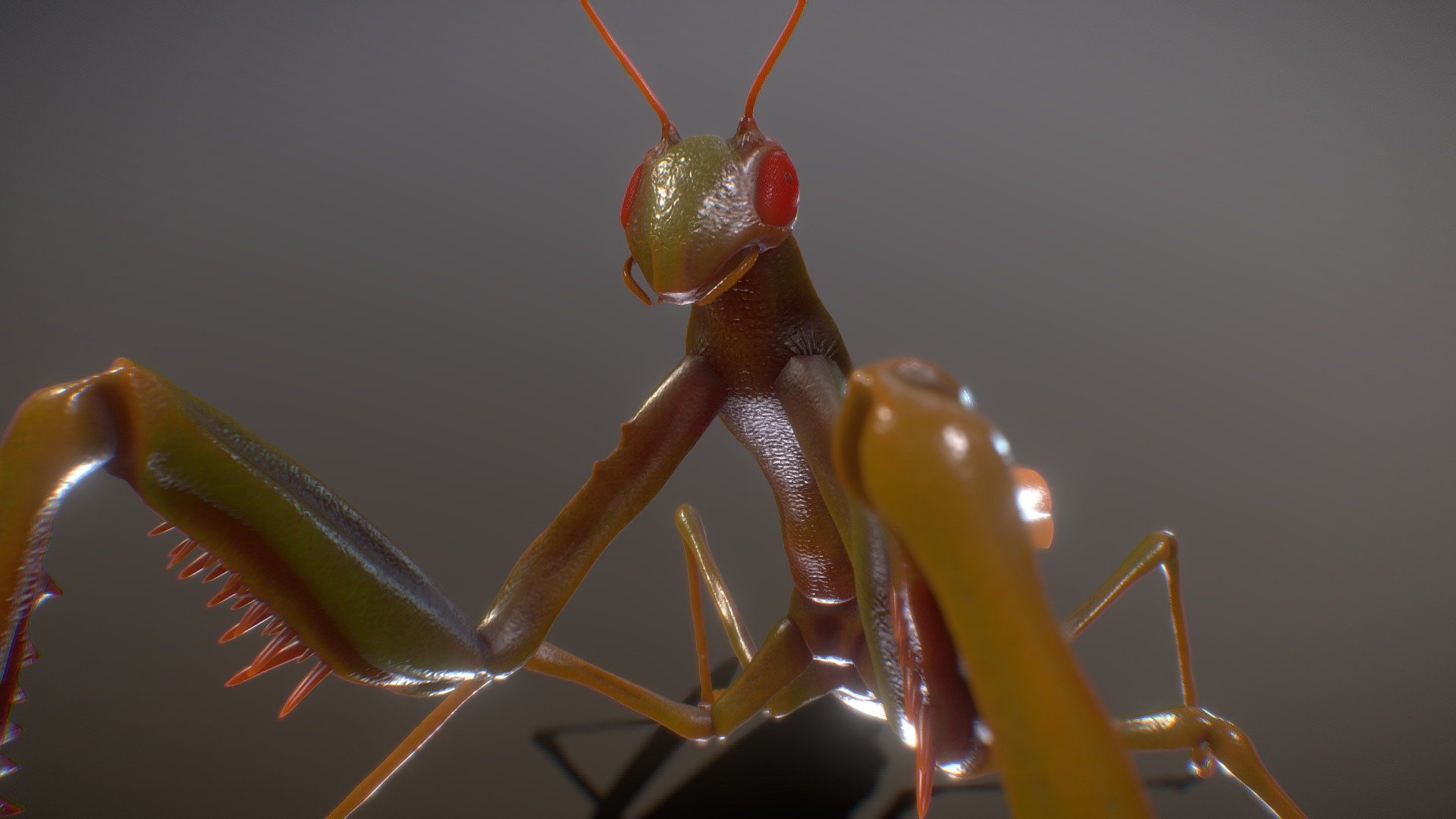 Melt - Download Free 3D model by Idmenthal (@idmental.id) [1221ba1 ...