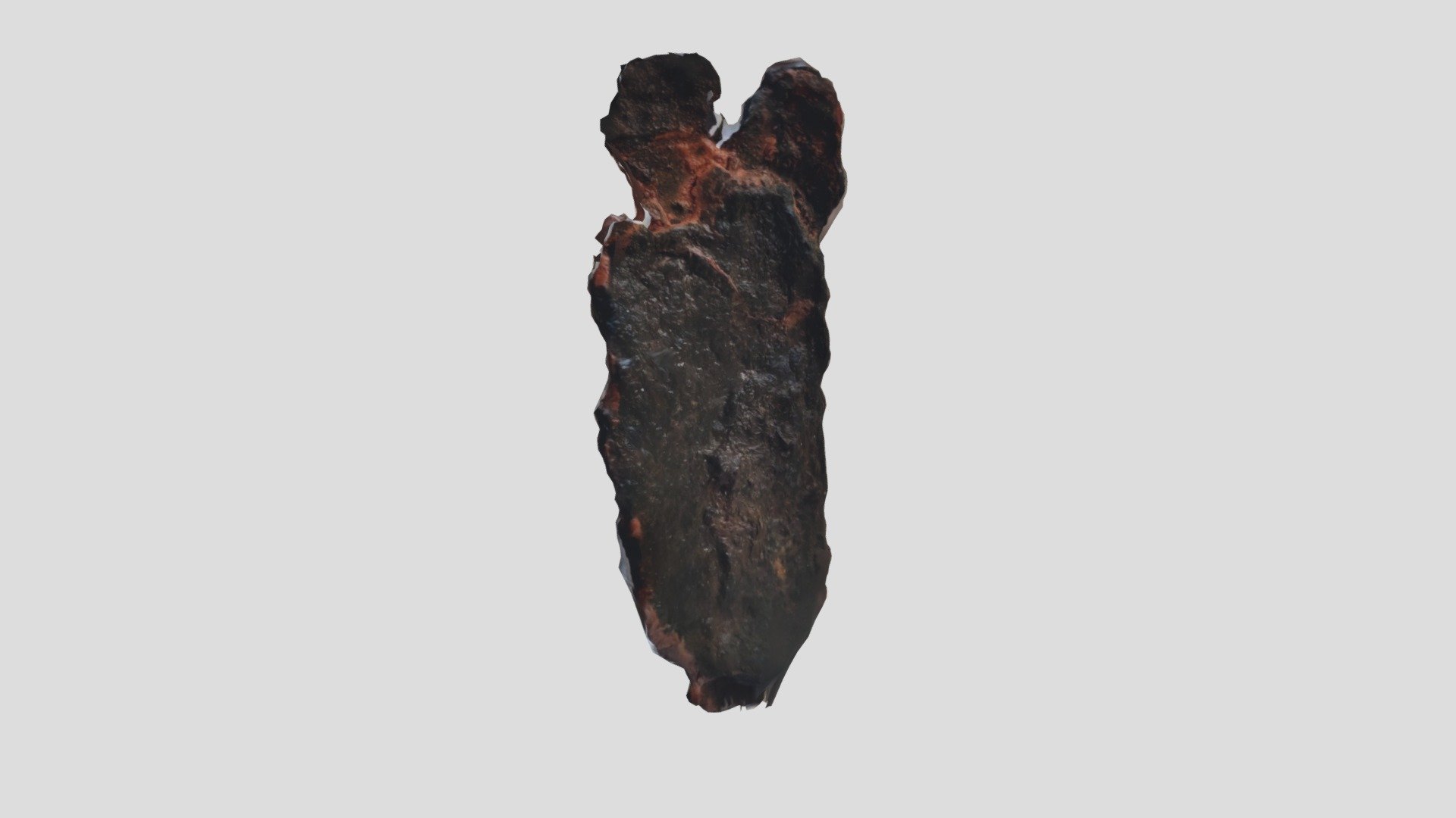 huid botter blik - 3D model by archeobc2r [1222e0a] - Sketchfab