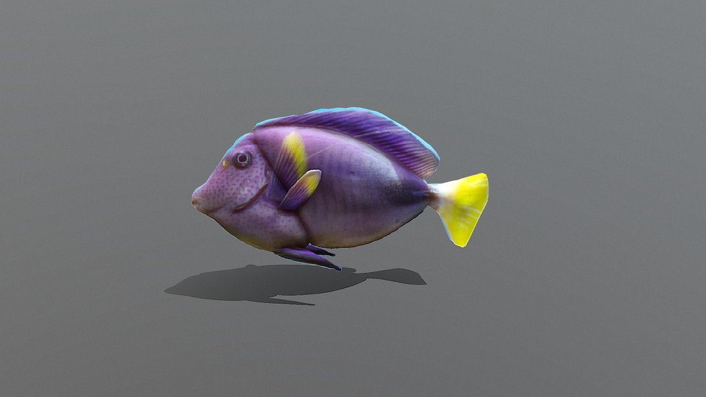 fish downloads - A 3D model collection by hallabunga - Sketchfab