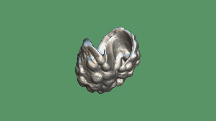 Gemvision 3D models - Sketchfab