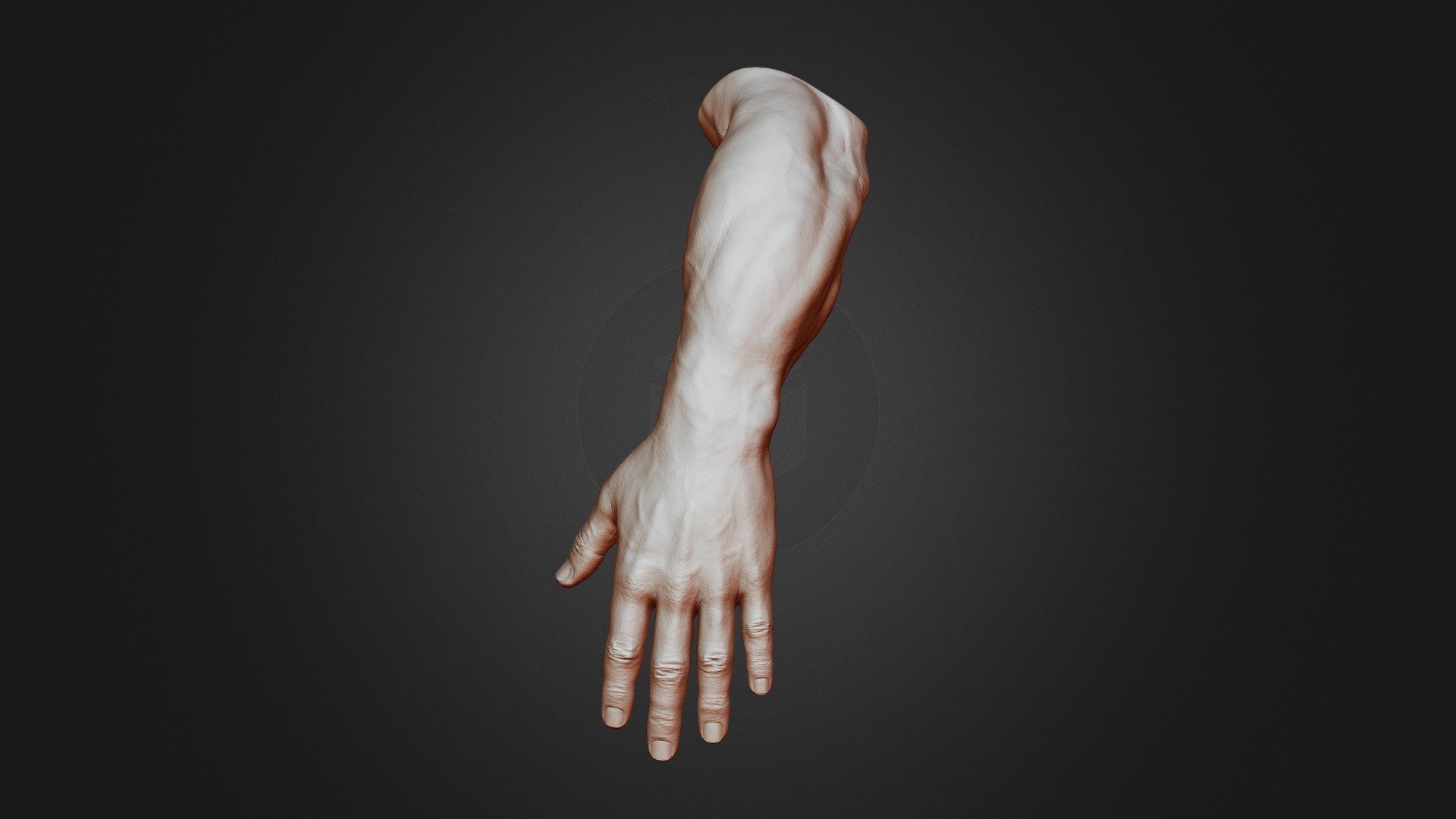 Realistic Human Hand - Buy Royalty Free 3D model by trish.j2109 ...