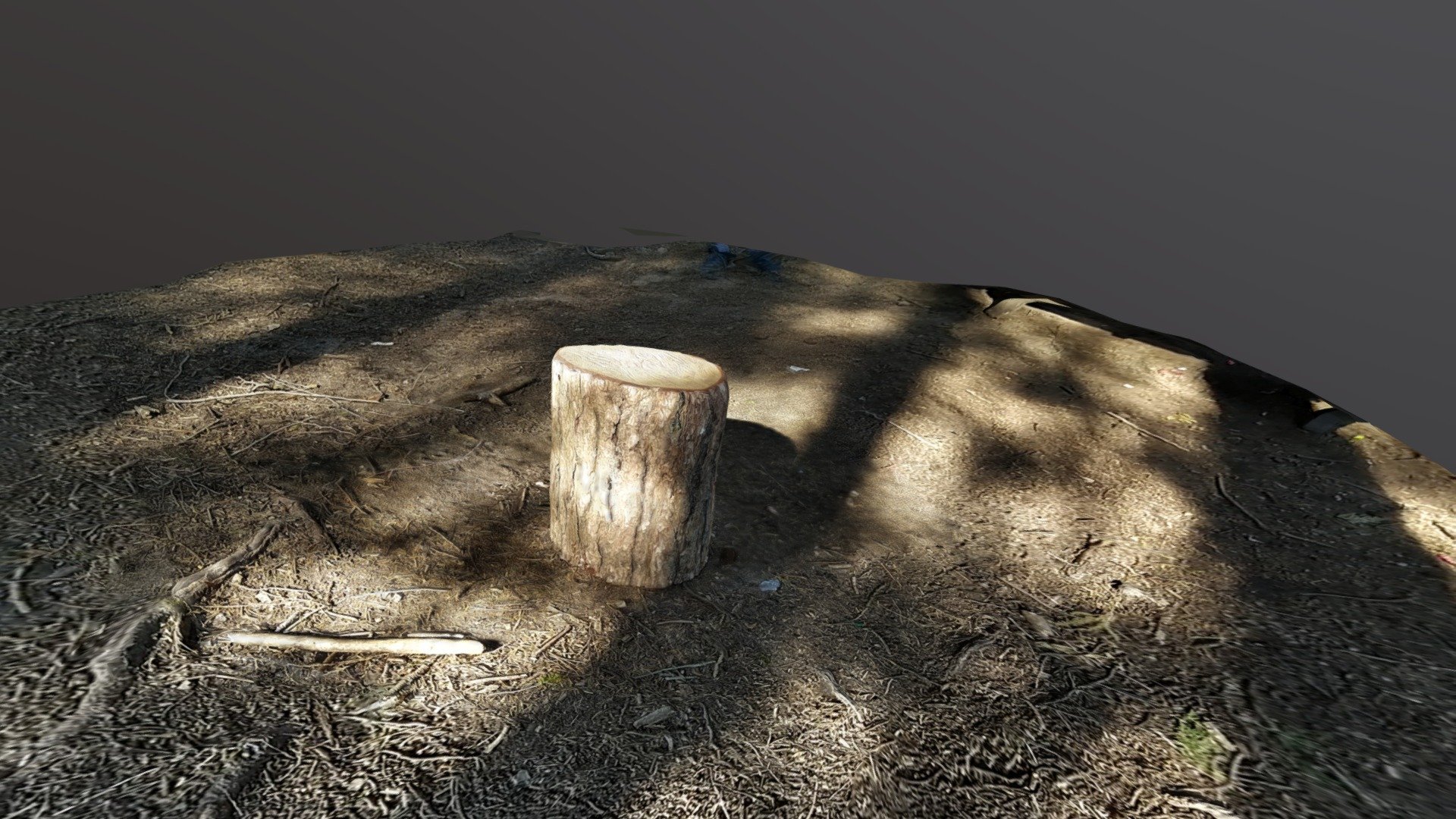 pine trunk - Download Free 3D model by federyuk91 [123357f] - Sketchfab