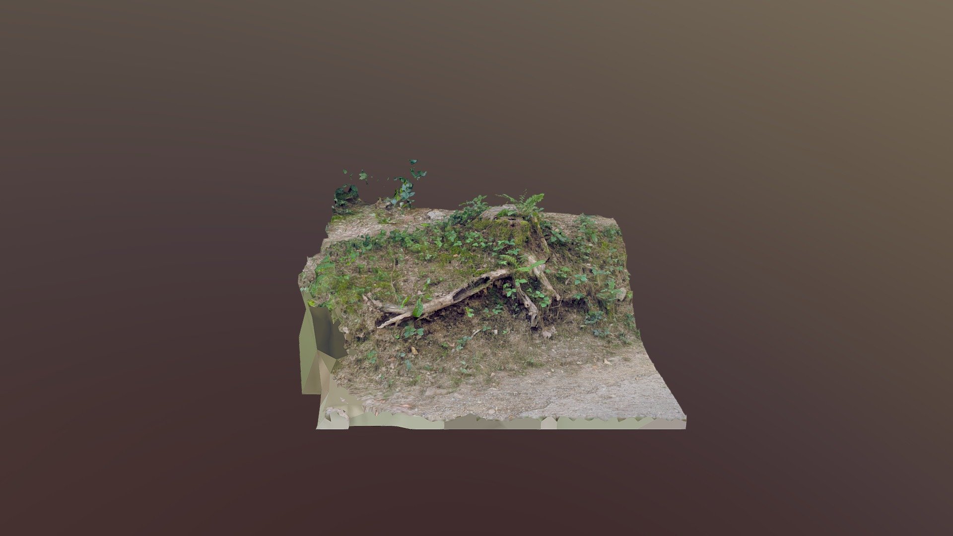 [RealityScan] Stump Fern 01 - 3D model by klian [1239789] - Sketchfab