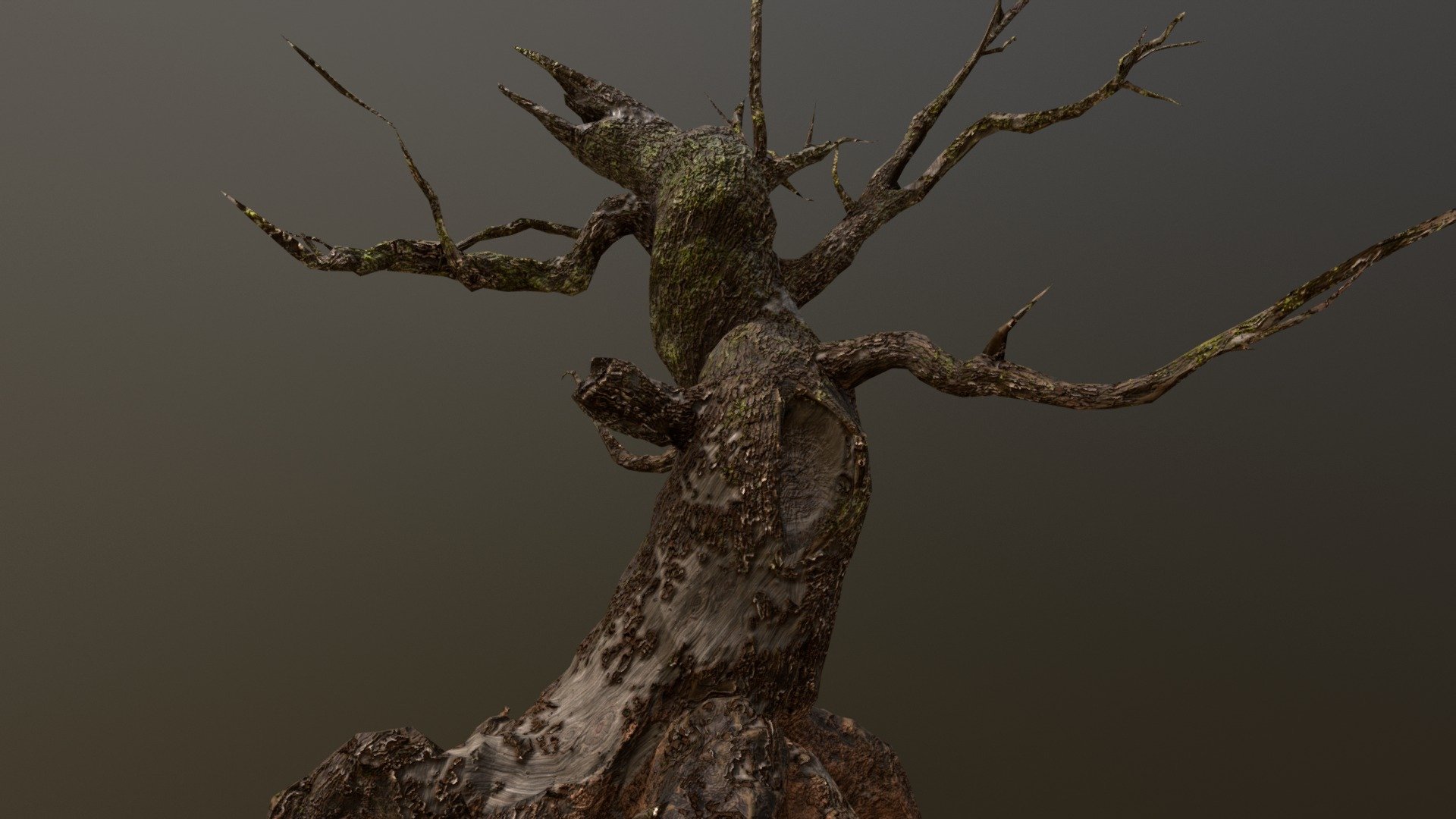 Dead Tree - 3D model by chistiy [123d62f] - Sketchfab