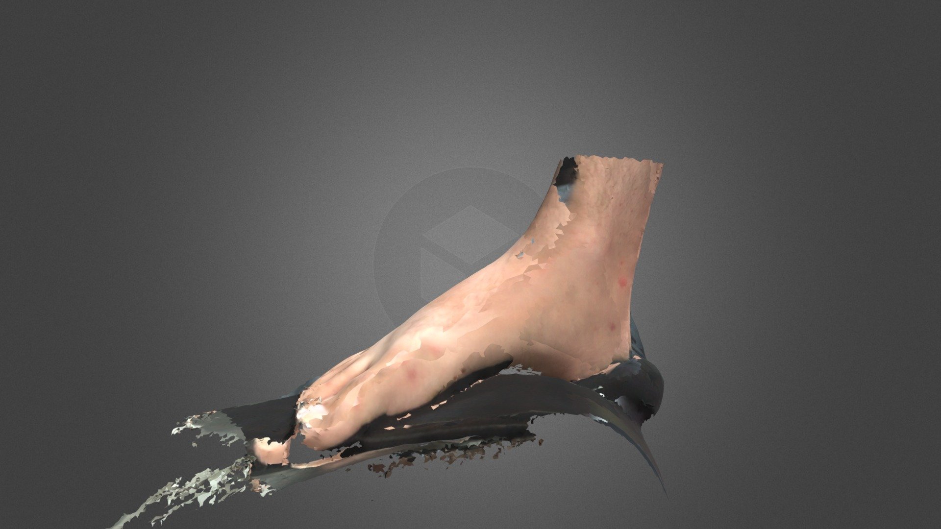 Foot - Texture Mapped Test Take 1 - Download Free 3D model by jlagrone ...