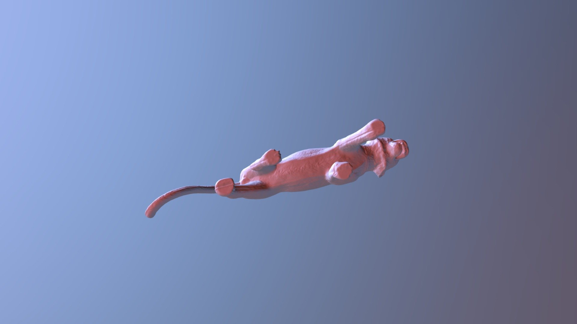 Tiger 3D Scan - 3D model by Sylzebub [123ee91] - Sketchfab