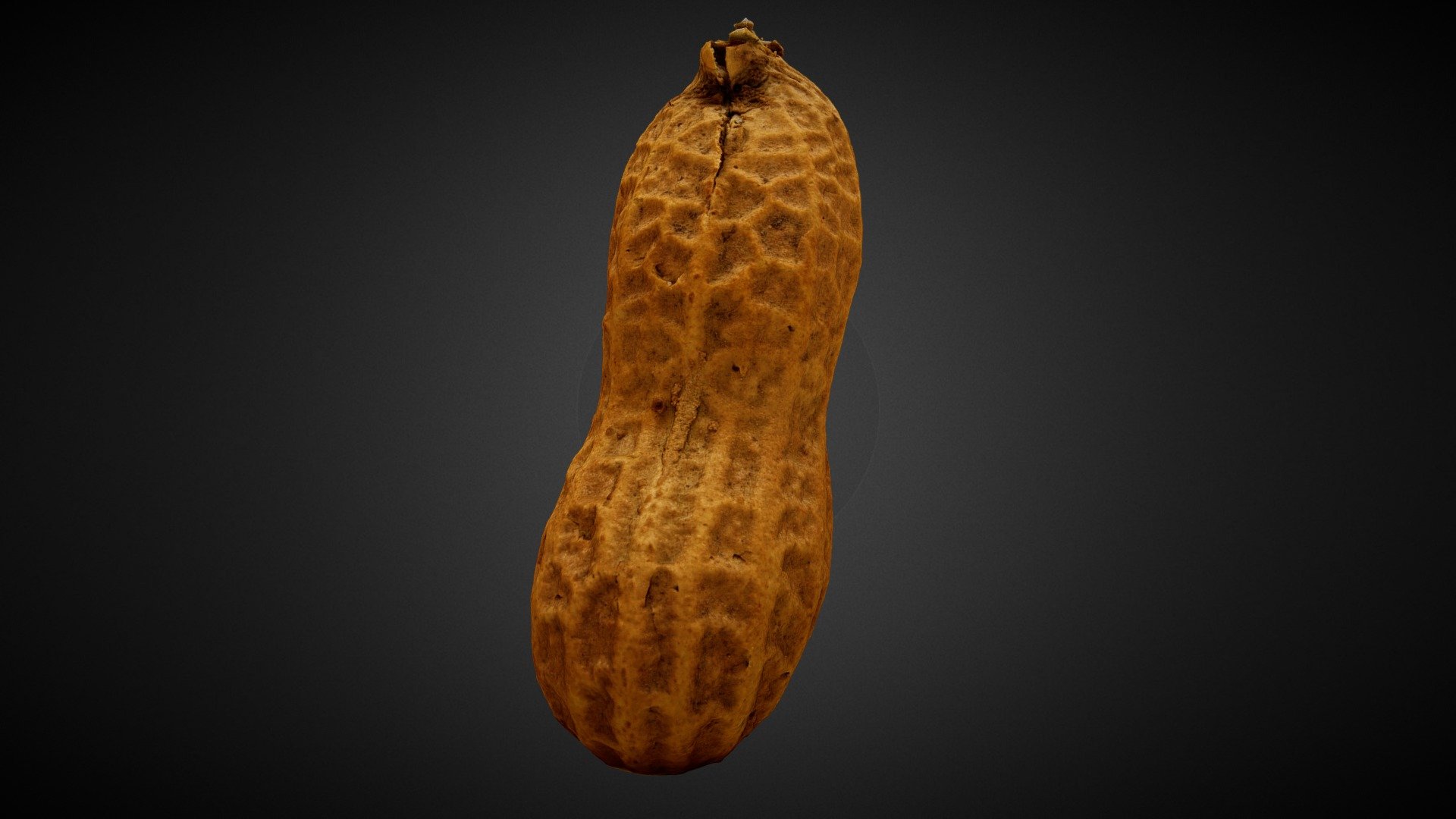 Peanut - 3D model by DavidMarcos [124398a] - Sketchfab