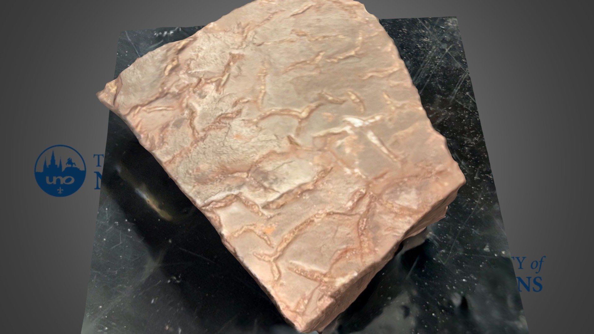 Syneresis cracks, Mesoproterozoic Bonner Fm., MT - Download Free 3D ...