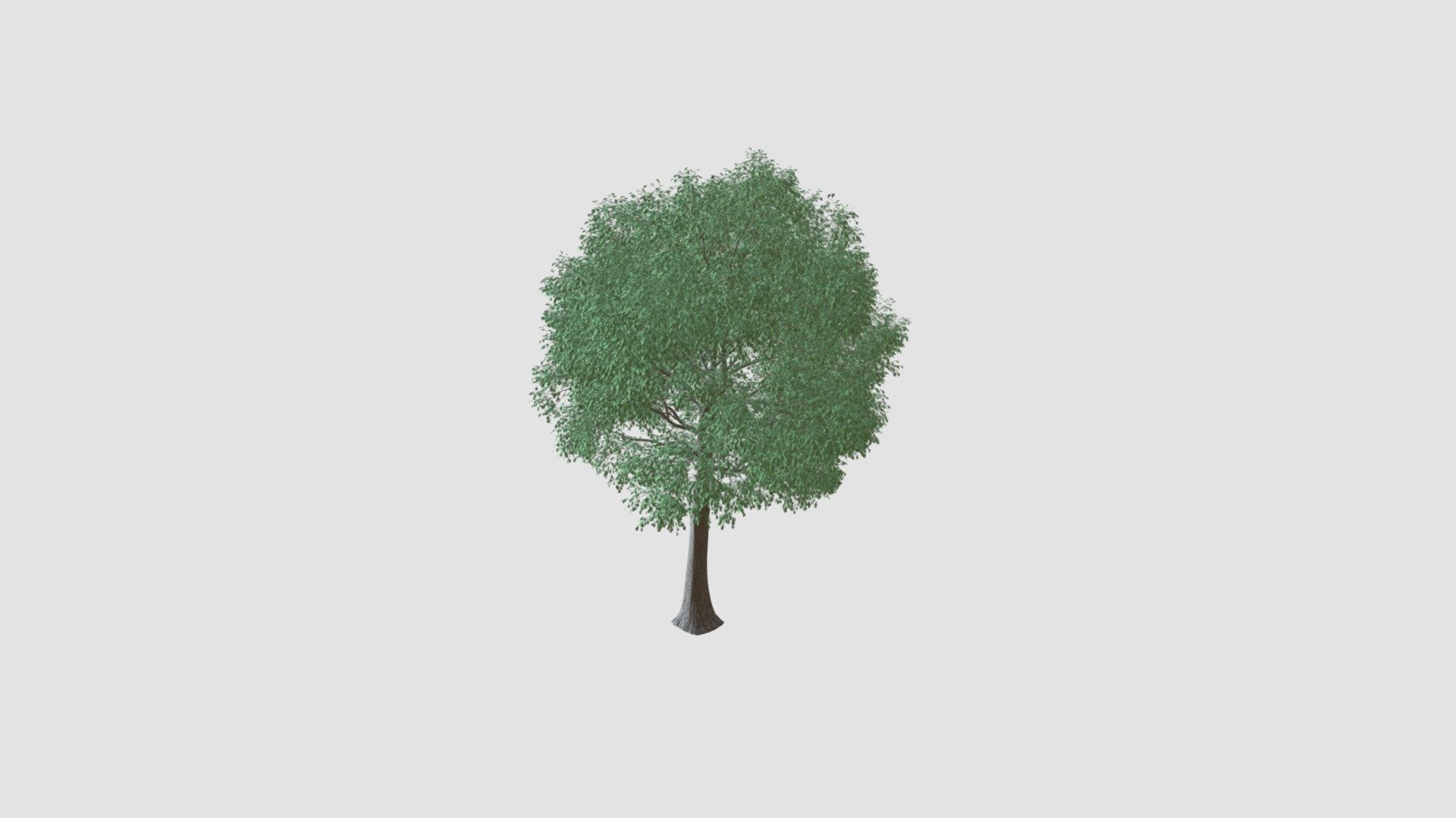 tree - Buy Royalty Free 3D model by Evermotion [12495ab] - Sketchfab Store