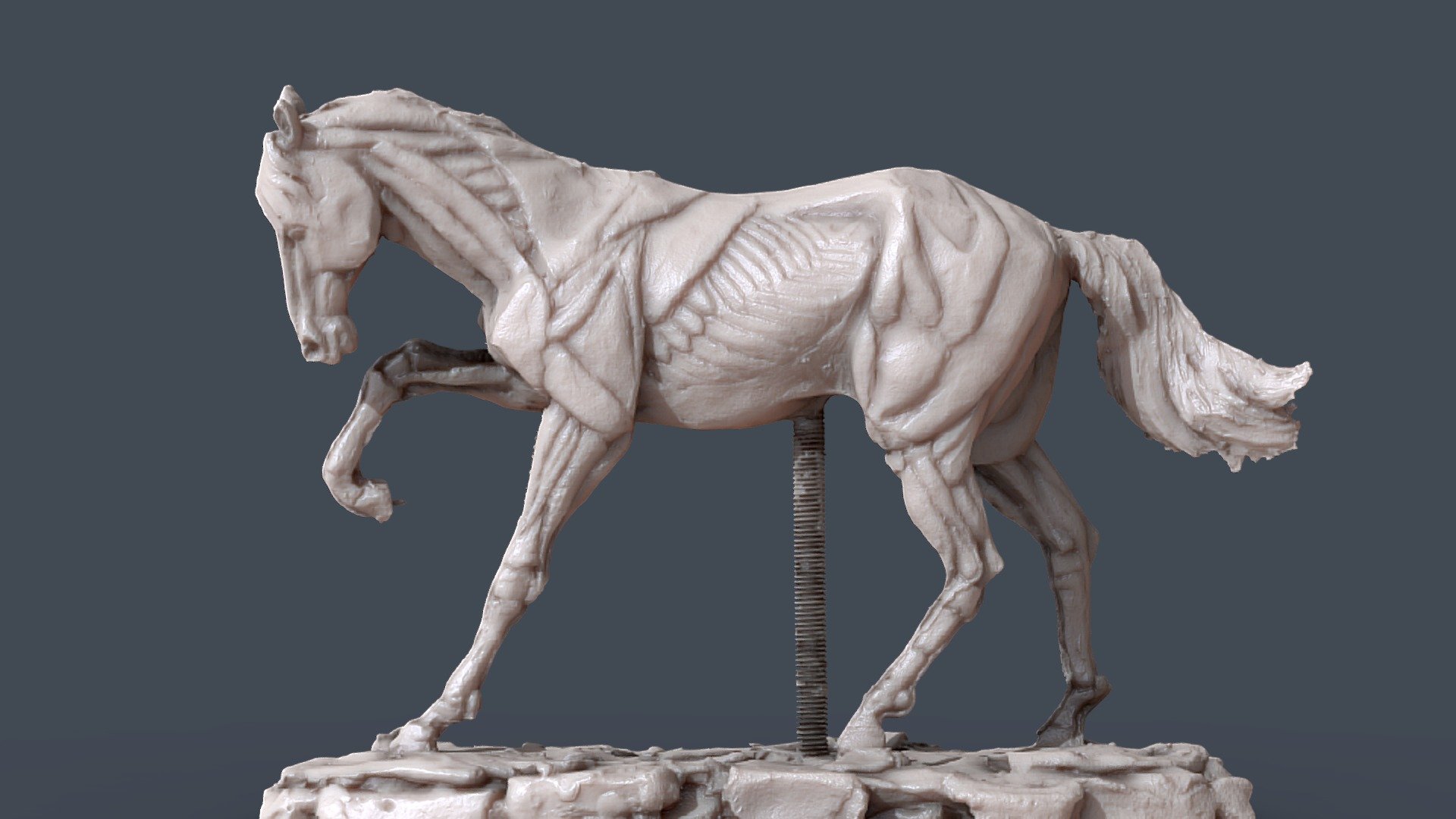 Plasticine horse – RAW Photogrammetry Scan - 3D model by kanistra ...